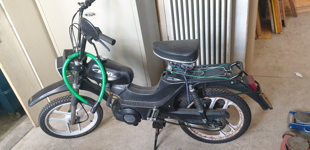 Pony Cilo | Kaufen auf Ricardo