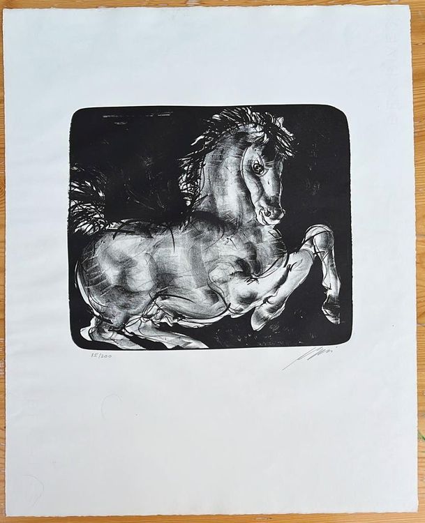 Lithografie Liegendes Pferd von Hans Erni (ID b3736) | Kaufen auf Ricardo