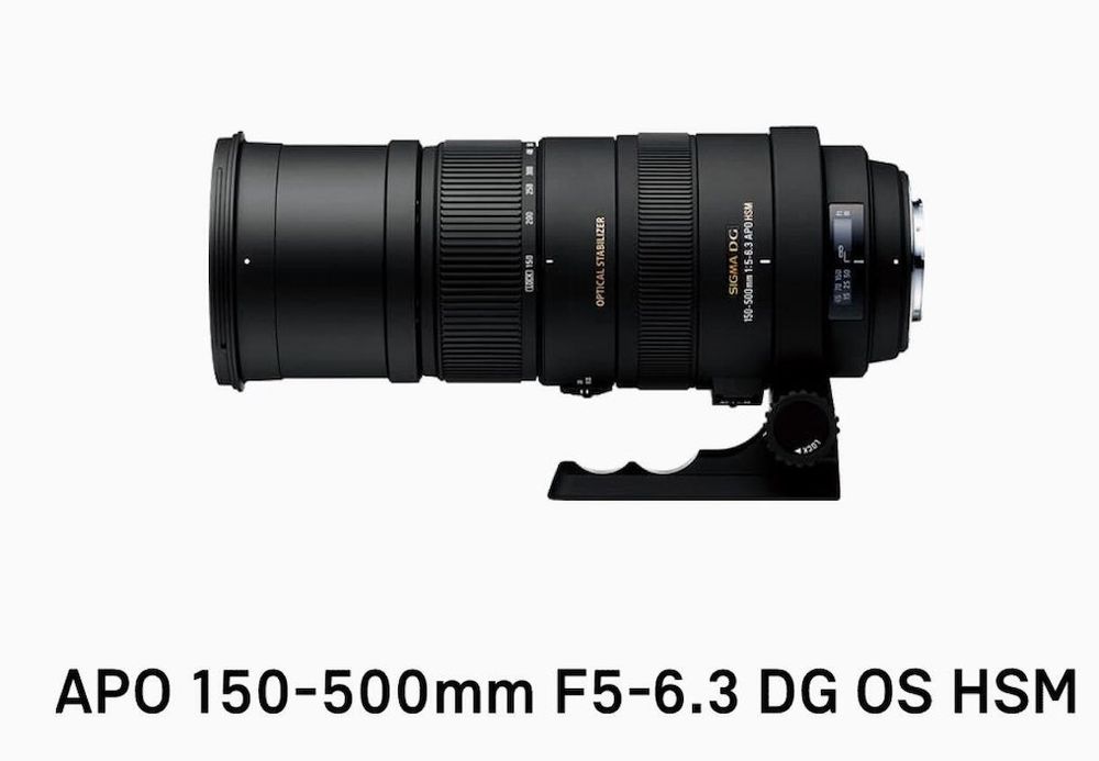 Sigma DG 150 - 500 mm F 5-6.3 APO HSM (Gebraucht) in Felsberg für CHF ...
