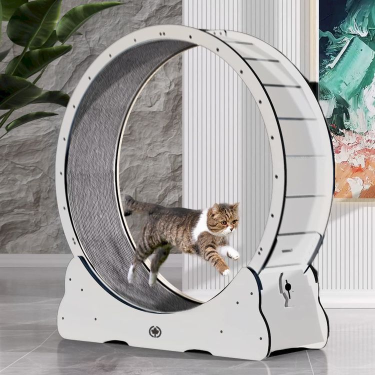 CanadianCat Company Katzenlaufrad L weiß (Neu und originalverpackt) in ...