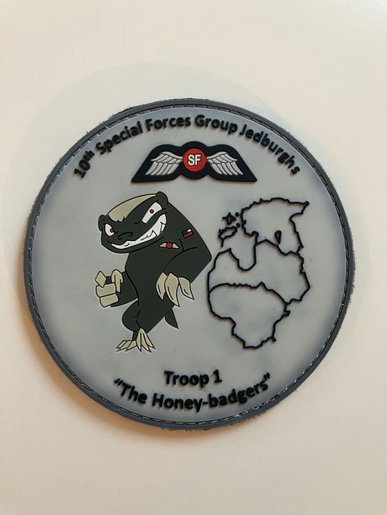 Patch 10th Special Forces Group | Kaufen auf Ricardo
