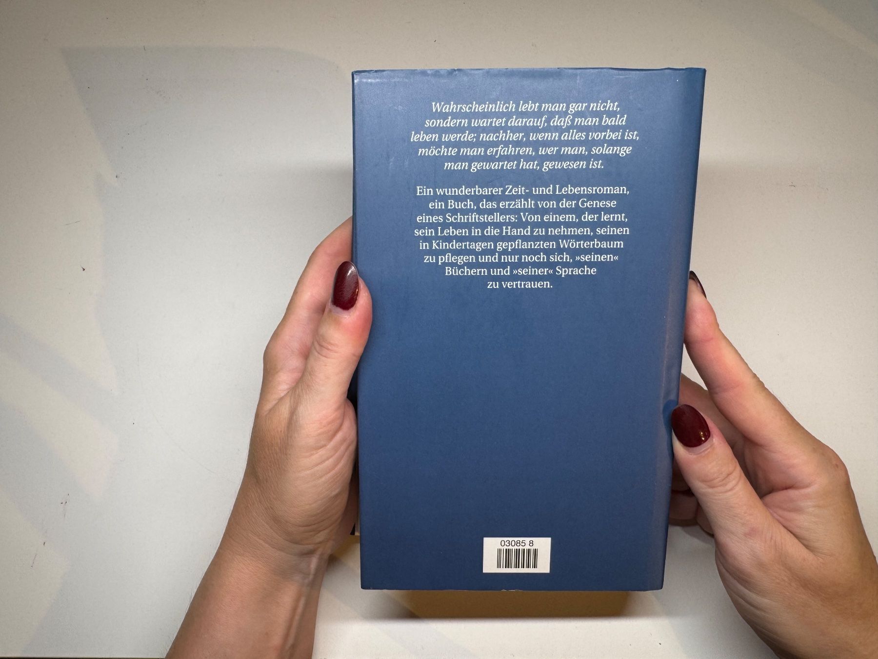 ROMAN: Martin Walser, Ein springender Brunnen (Gebraucht) in ...