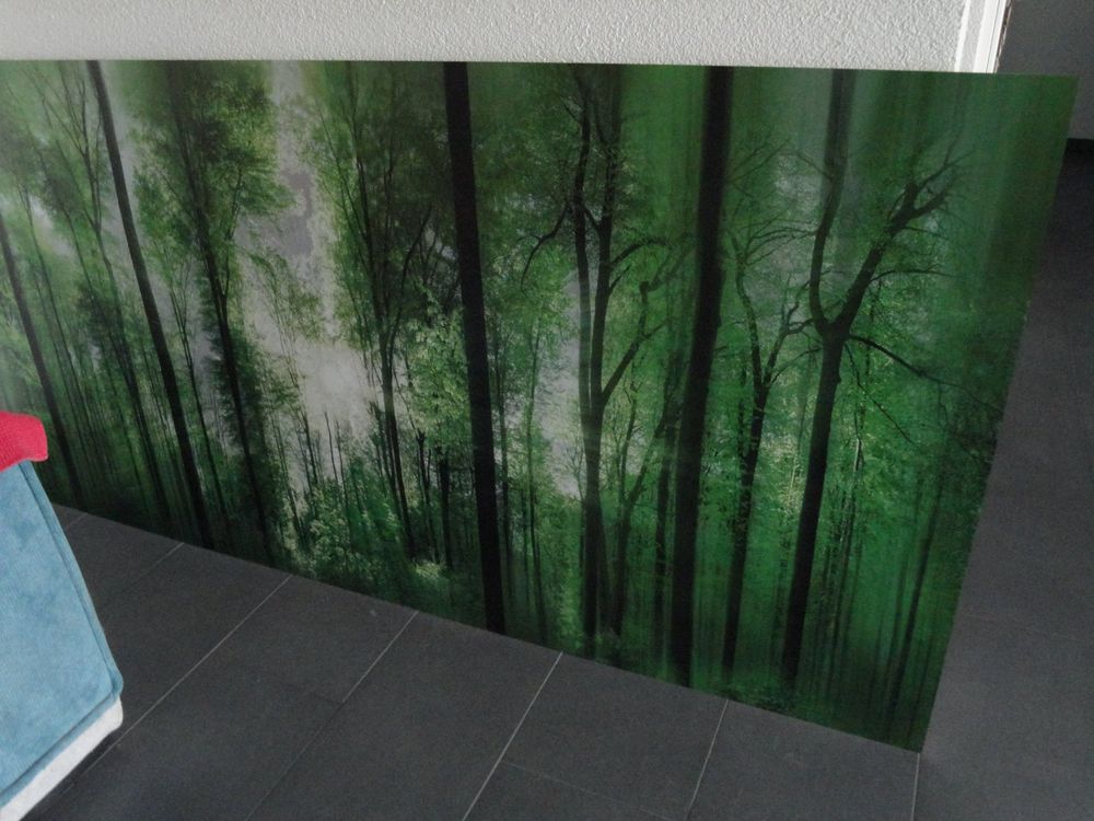 SCHÖNES WALDBILD AUF ALUPLATTE 2 METER LANG 1 METER HOCH (Neu (gemäss ...