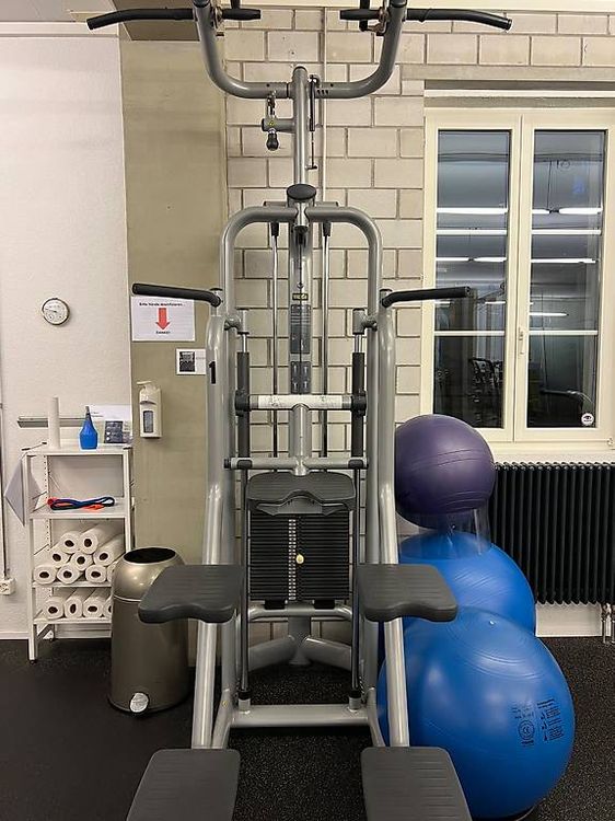 Technogym Assisted Chin and Dip Machine (Gebraucht) in Bern für CHF 999 ...