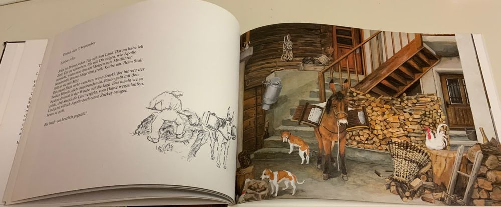 Lieber Alex - Helen Güdel (Gebraucht) in Crans-Montana für CHF 20 – mit ...