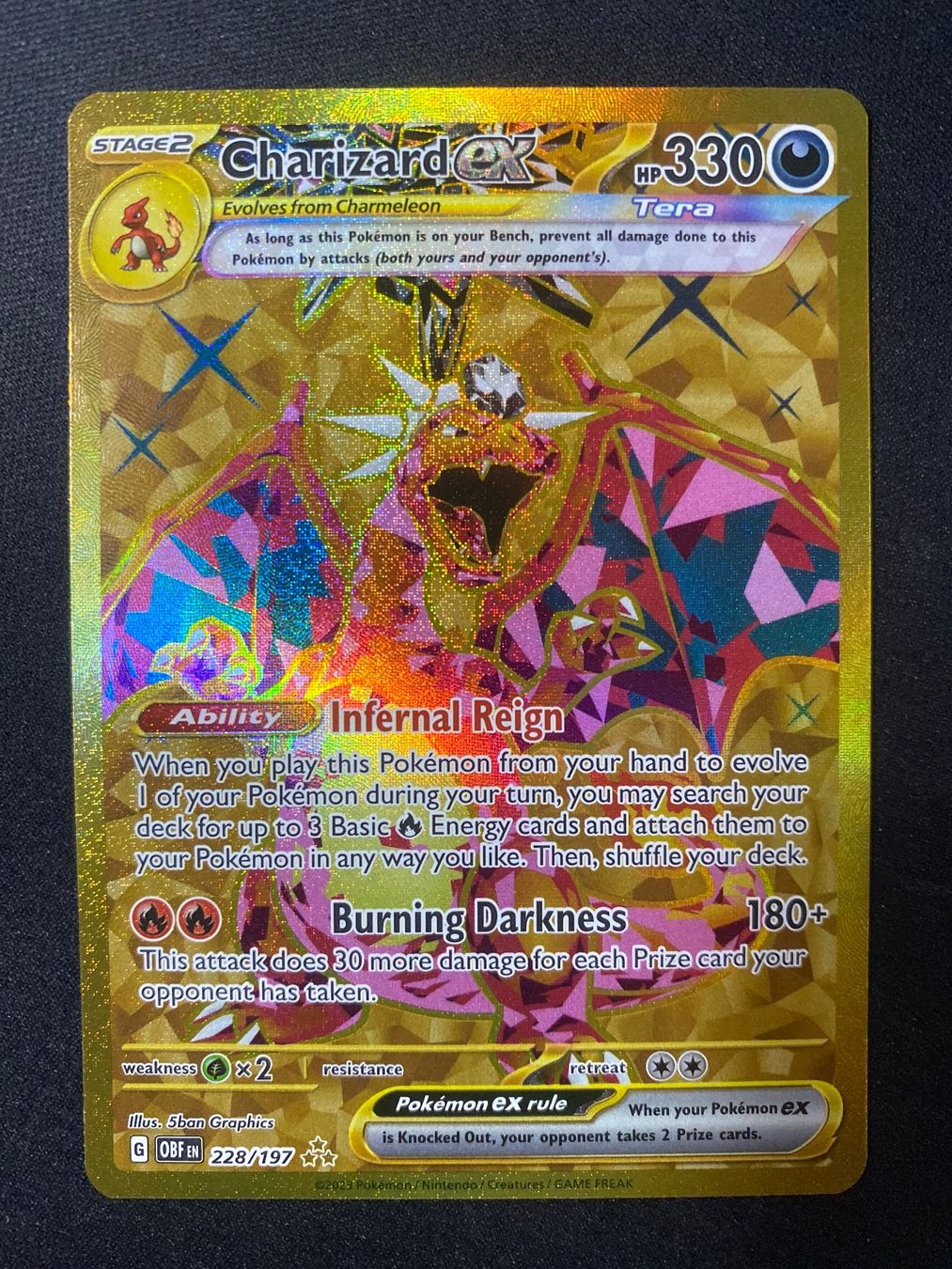 Charizard ex 228 - Glurak - Dracaufeu - Obsidian Flames - EN (Neu ...