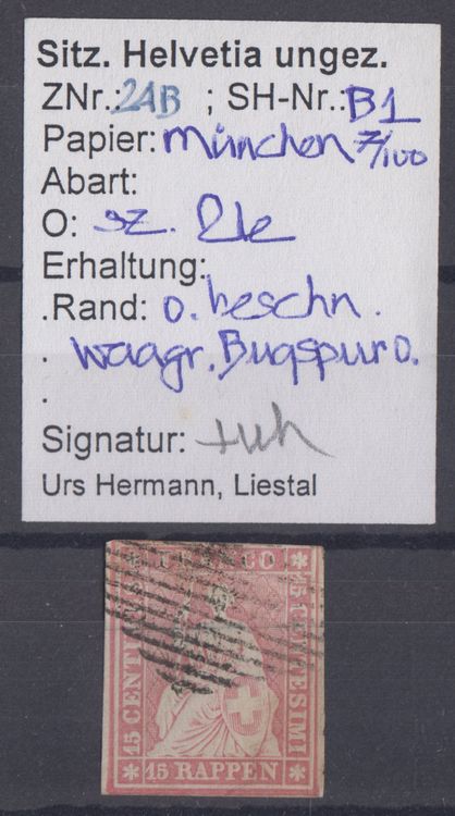 Strubel 24B - Kurzattest Urs Hermann (Gebraucht) in Eschlikon TG für ...