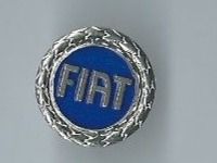 Fiat Pin (Gebraucht) in Zürich für CHF 1.5 – mit Lieferung auf Ricardo ...