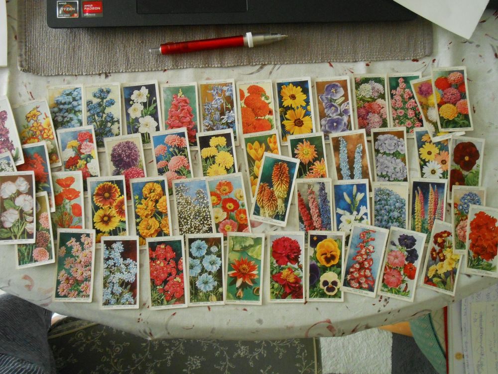 Cicar Cards Wills " Garden Flowers " Komplett 50 Cards | Kaufen auf Ricardo