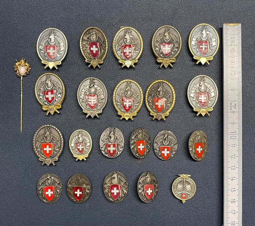 Lot Abzeichen Schweizer Alpenclub SAC CAS Club Alpin Suisse | Kaufen ...