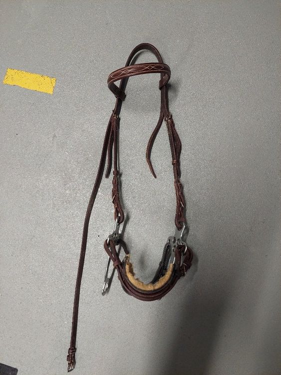 Zaumzeug Hackamore für Pferd (Gebraucht) in Wilderswil für CHF 42 – mit ...