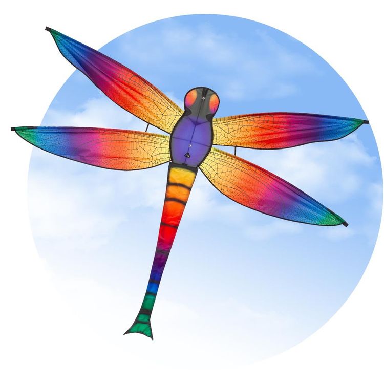 Drachen Dragonfly Kite (HQ-Invento) (Neu und originalverpackt) in Oensingen für CHF 9.95 – mit ...