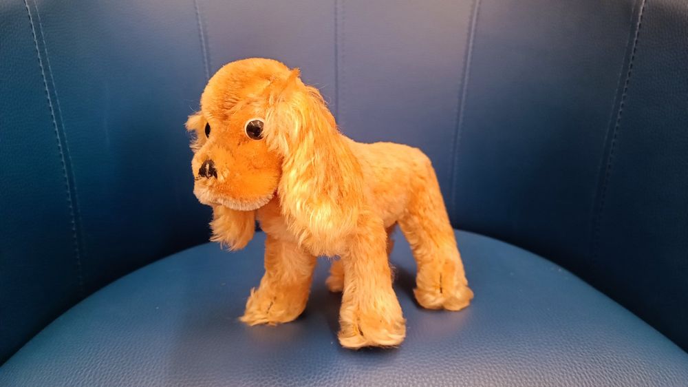 Steiff Cocker Spaniel Hund Cockie Vintage (Gebraucht) in Zofingen für ...