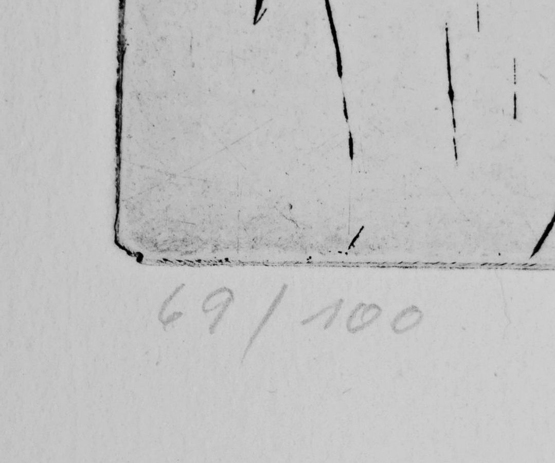 Nu érotique original Jan Wiegers, numérotée 69/100 (Gebraucht) in ...