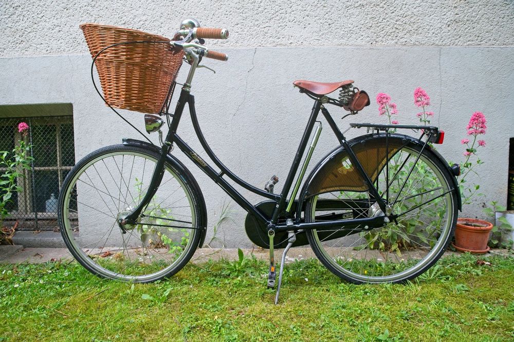 Pashley Princess Sovereign 20" | Kaufen auf Ricardo