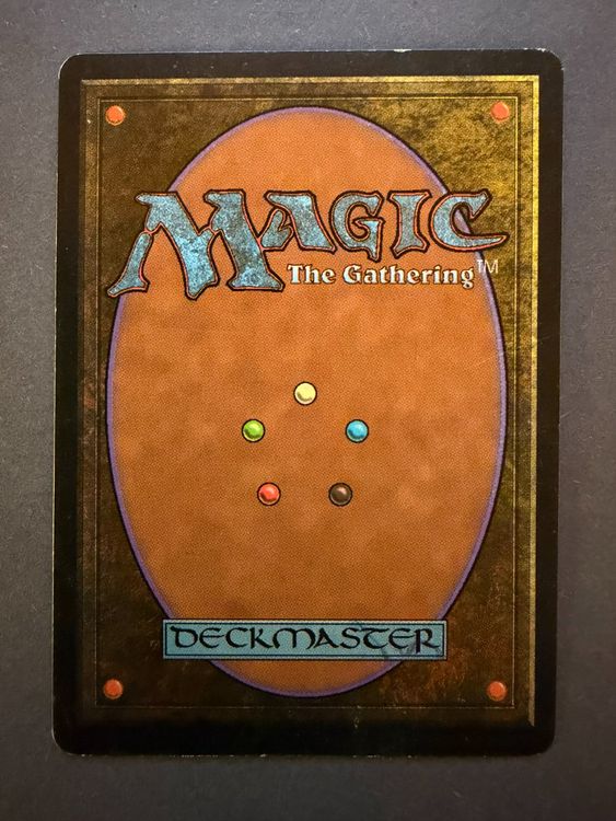 Scroll Rack // Bücherregal // Tempest // Sturmwind // Magic (Gebraucht ...
