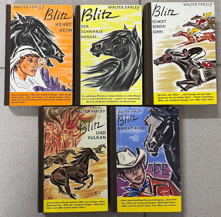 Blitz-Bücher (5x) (Gebraucht) in Olten für CHF 20 – mit Lieferung auf ...