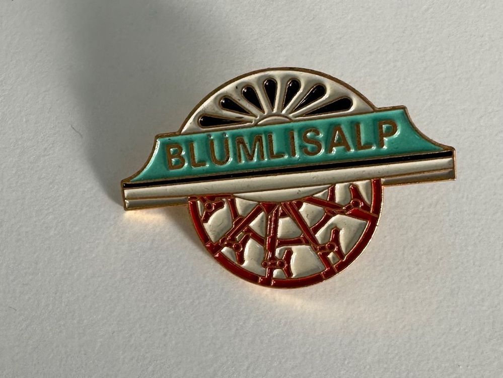 Blümlisalp Schiff Pin (Gebraucht) in Gutenswil für CHF 5 – mit Lieferung auf Ricardo kaufen