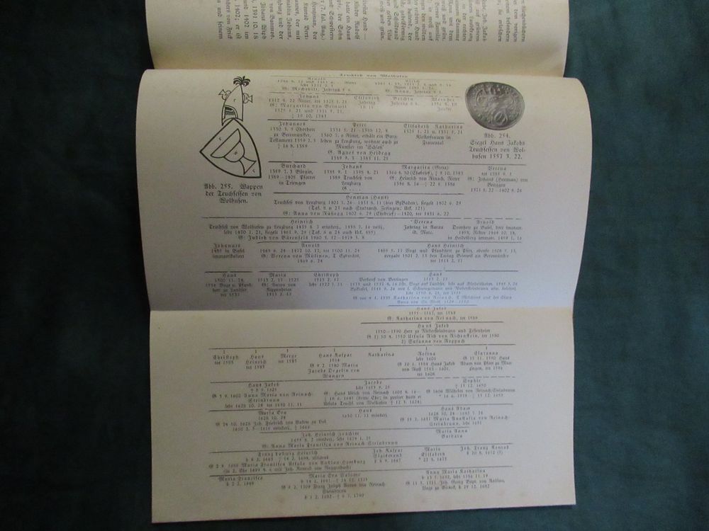 Aarau Wappen Wappenbuch Heraldik Walter Merz (Gebraucht) in Hedingen ...