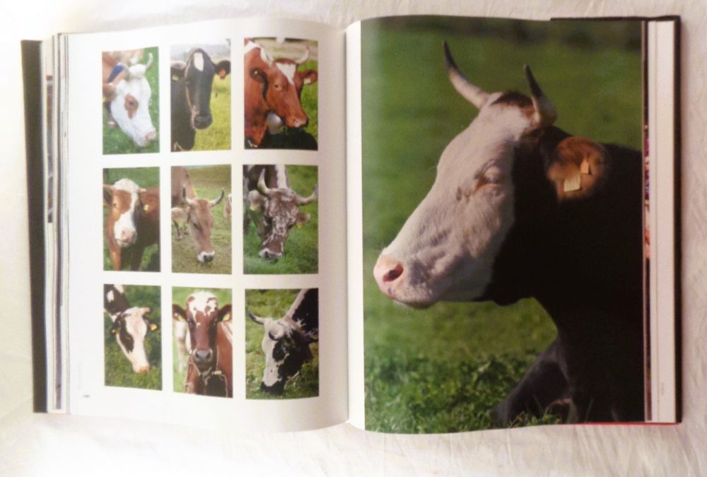 Schweizer Kuh Buch / Kuhleben - Hommage an die Kuh | Kaufen auf Ricardo