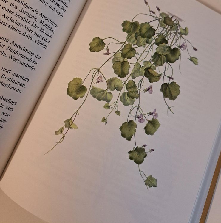 Botanik, Jean-Jacques Rousseau, Pierre-Joseph Redouté (Gebraucht) in ...