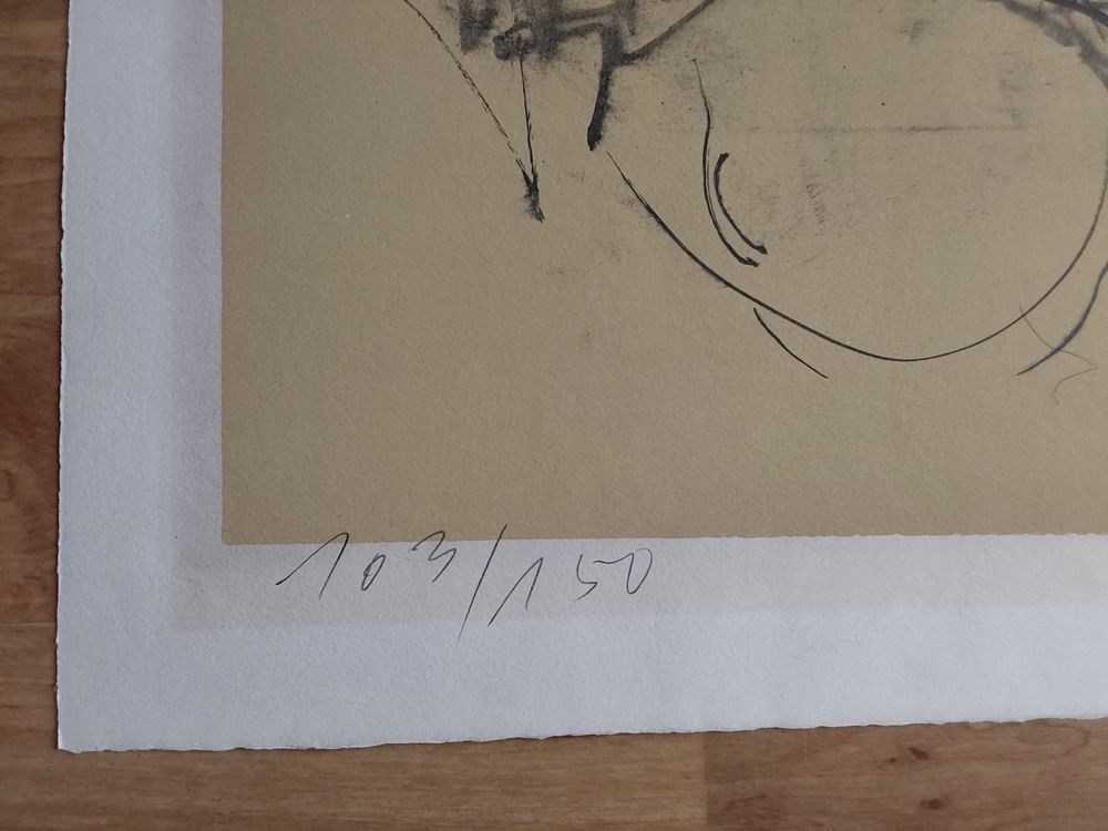 Erni Hans. Original-Litho-Signiert. 103/150 (Gebraucht) in Steinach für CHF 99 – mit Lieferung ...