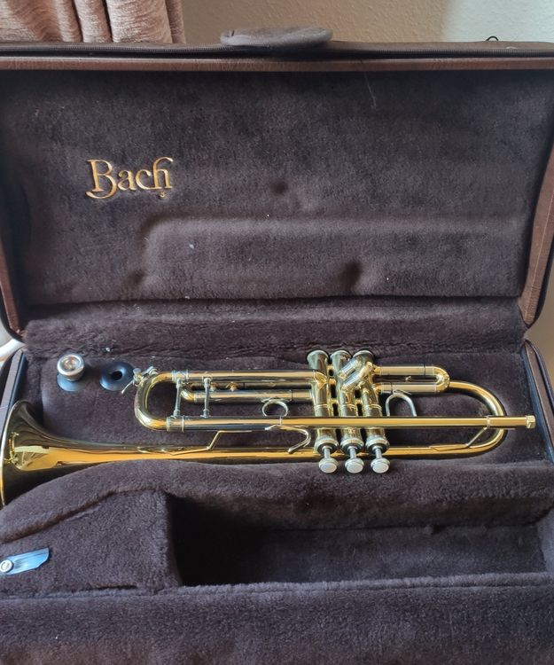 Bach B-Trompete Stradivarius Model 43 (Gebraucht) in Basel für CHF 620 – nur Abholung auf ...