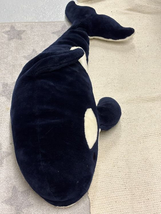 Grosser Orca Wal Kuscheltier sucht neues Zuhause! (Gebraucht) in ...