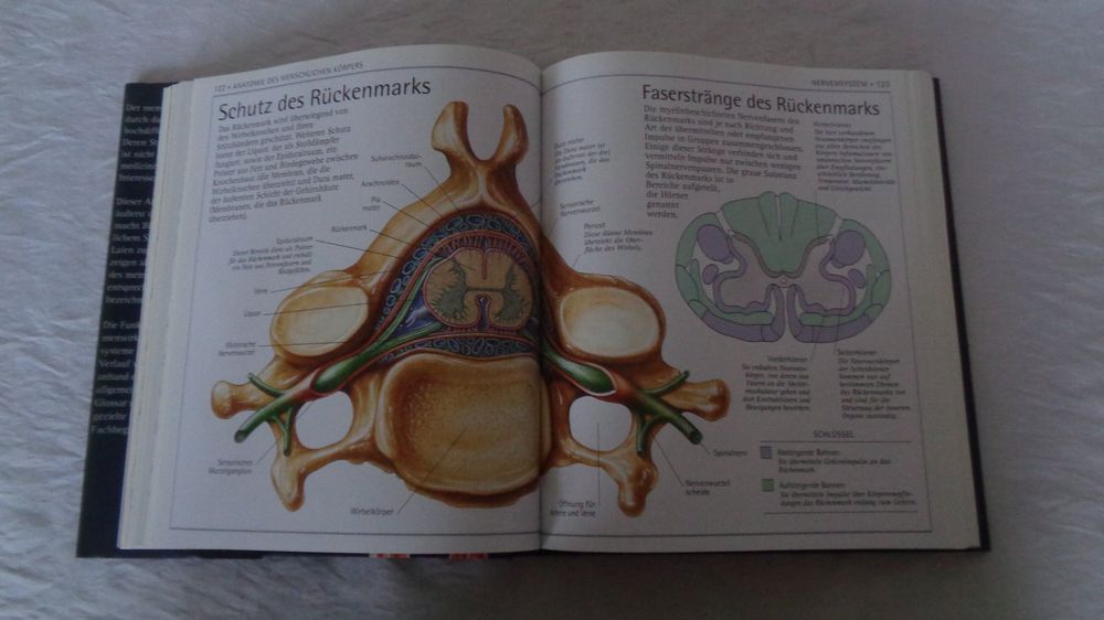 Anatomie Atlas Der Menschliche Körper / Buch 700 Farbtafeln (Gebraucht) in Bellach für CHF 16 ...