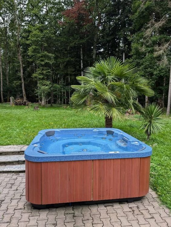 Jacuzzi Teuco 613-614 7 places (Gebraucht) in Versoix für CHF 2500 ...