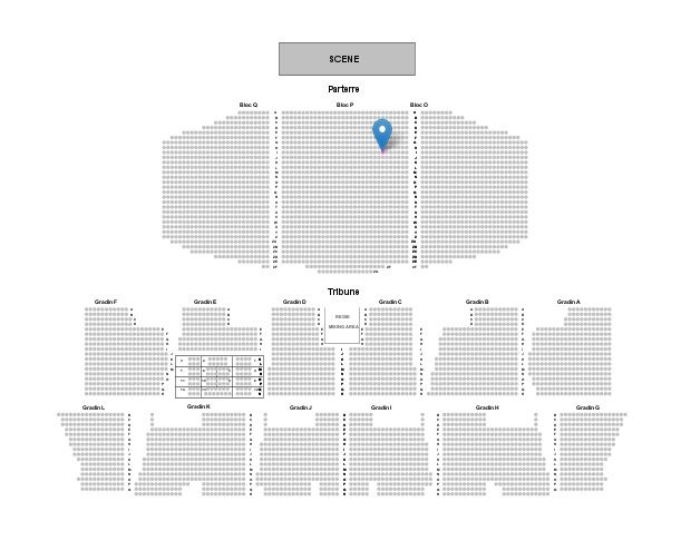 2x Michel Sardou Gradin L - Arena Genf Geneve - 9.2.2024 | Acheter sur ...