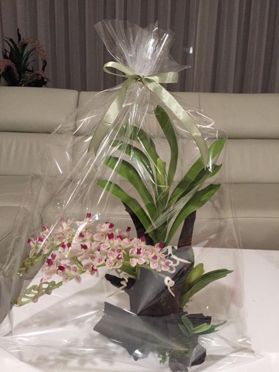 Handgemachte Orchidee - Unikat | Kaufen auf Ricardo