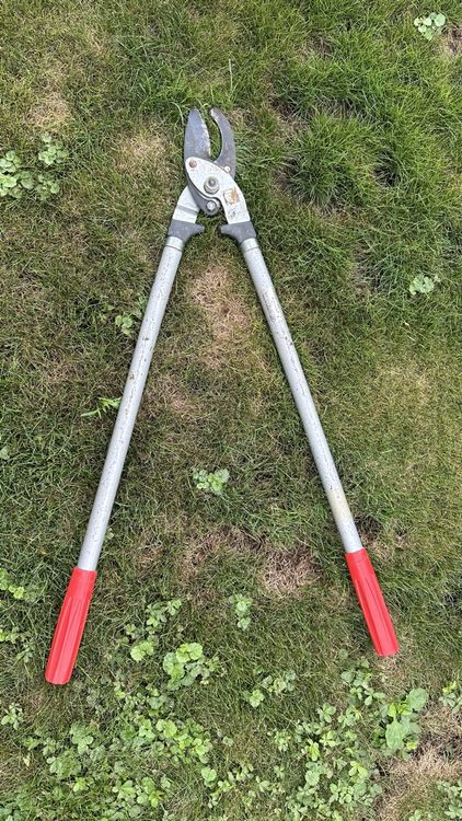 Kamaki Astschere Compound-Action Japan L-85 (Gebraucht) in Sins für CHF 12 – mit Lieferung auf ...