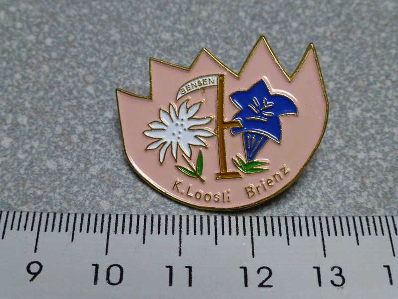 PIN PINS SCHWEIZ Sense Sensen (Gebraucht) in Gränichen für CHF 1 – mit ...