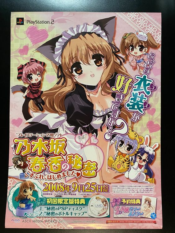 Nogizaka Sunkou no Himitsu Cosplay Hajime Mashita PS2 Poster | Kaufen ...