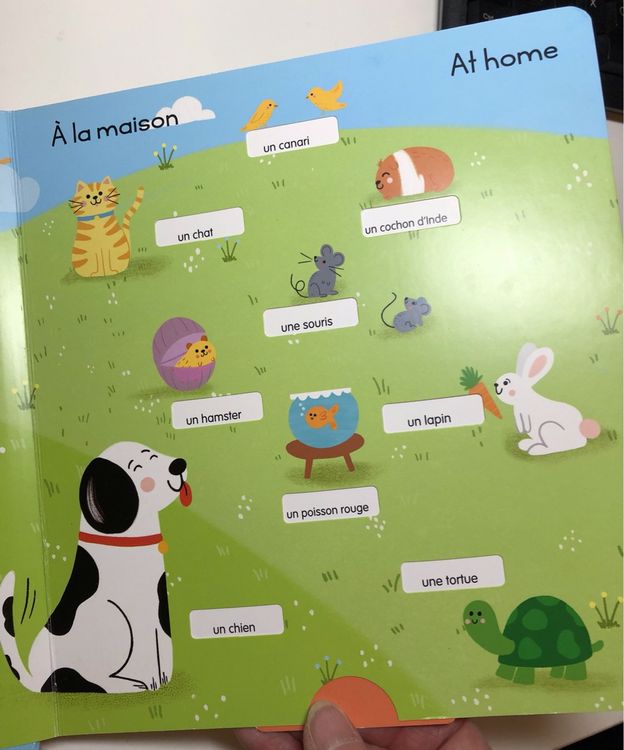 Livre enfant: Mes 100 premiers mots anglais, animaux! (Neuf (Voir ...