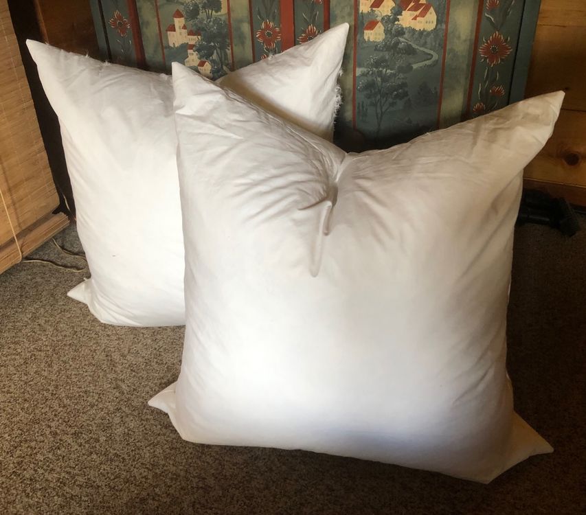 2 x KISSEN 60x60cm (Federn) mit Kissenbezügen (Gebraucht) in Mühlebach ...