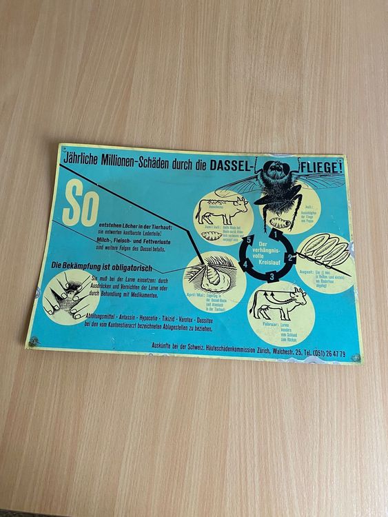 Plakat Blech überzogen Werbung Bekämpfung der Dassel-Fliege (Gebraucht ...