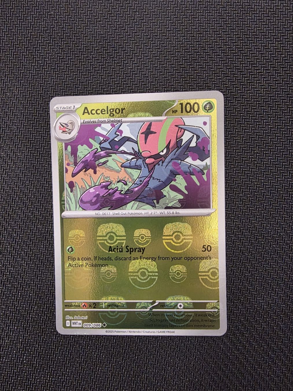 Pokémon TCG – WHT Accelgor Masterball Reverse 009/086🇺🇸 (Neu (gemäss ...