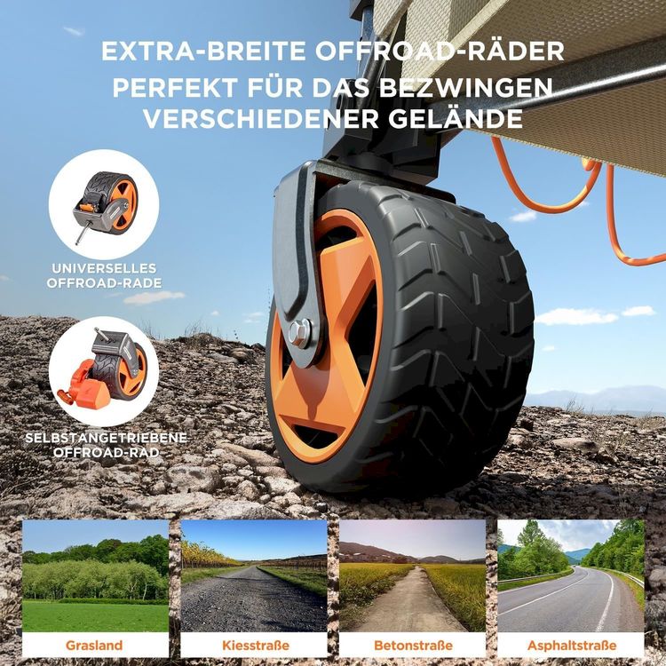 Litheli eWagon W2 Pro Elektro-Wagen (Neu und originalverpackt) in ...