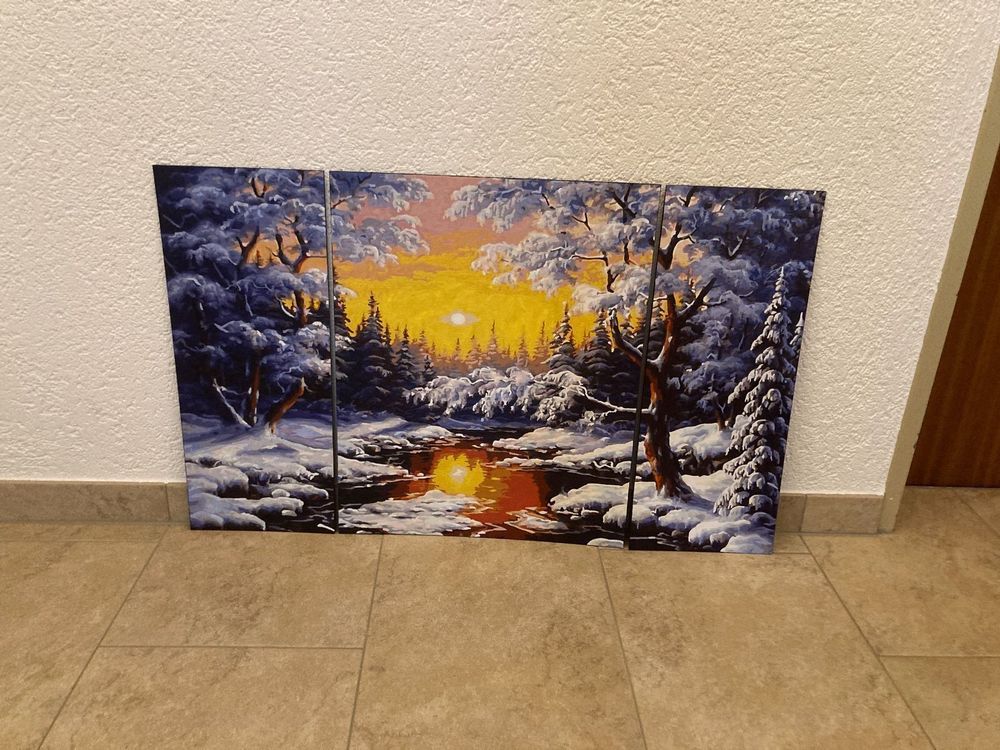 Bild "Ein Wintertraum", 3-teilig, Malen nach Zahlen (Neu (gemäss Beschreibung)) in Gelterkinden ...