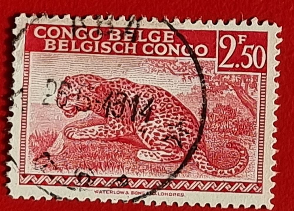 CONGO BELGE BELGISCH KONGO LEOPARD 1942 GEST. 1948 (Gebraucht) in Düdingen für CHF 2 – mit ...