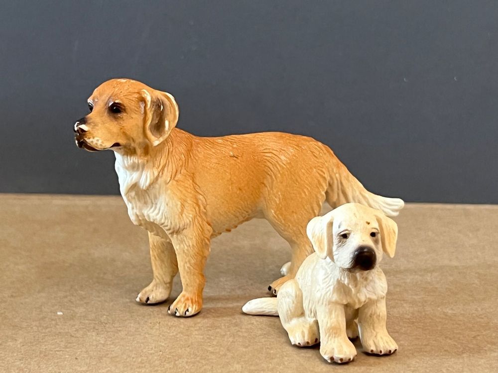 Schleich 16377 Golden Retriever Rüde und Welpe Hund (Gebraucht) in Ennetbaden für CHF 10 – mit ...