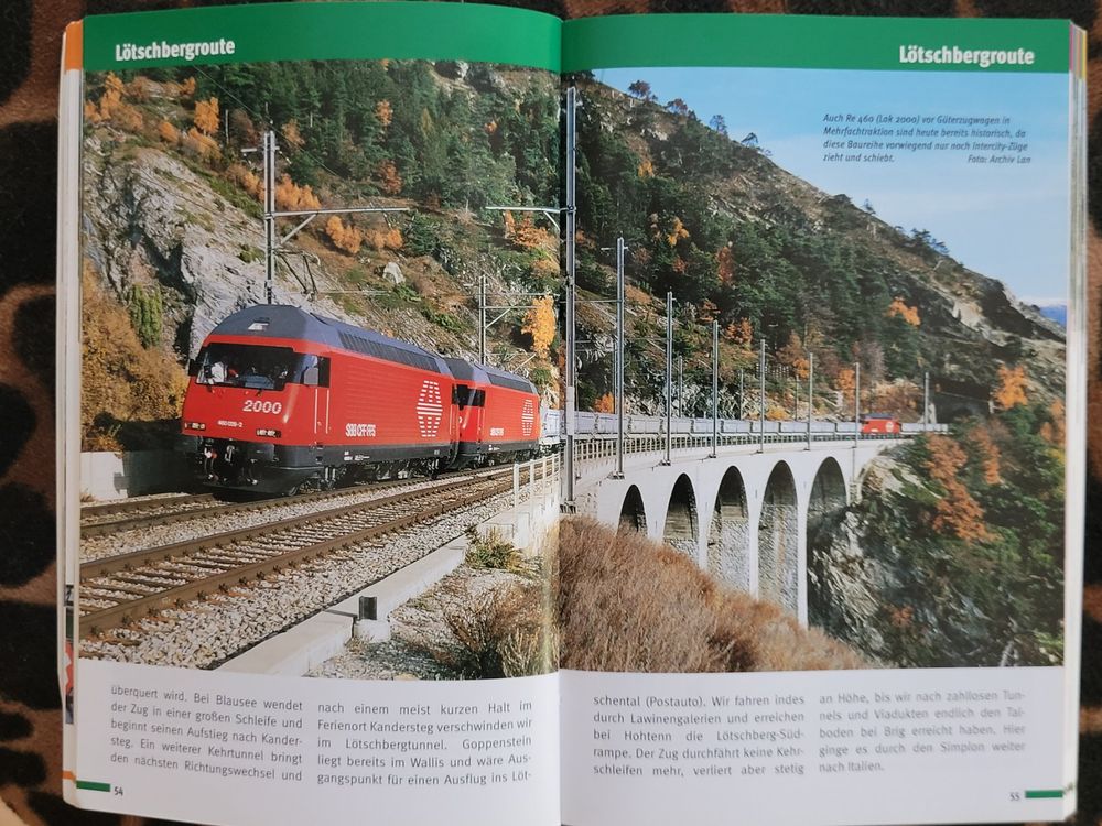 Buch BAHN Reiseführer: Die Schweiz mit dem Zug entdecken SBB | Kaufen auf Ricardo