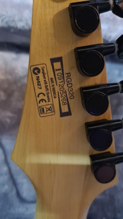 Guitare électrique Ibanez RGD320 blanche | Kaufen auf Ricardo