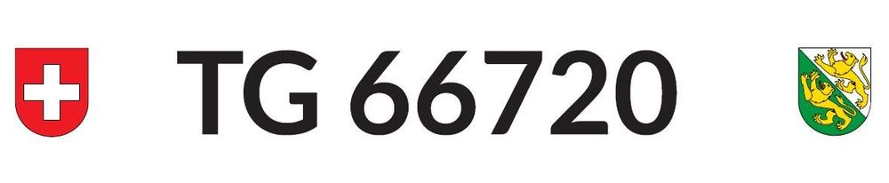 Auto Kennzeichen Kontrollschild TG 66720 | Kaufen auf Ricardo