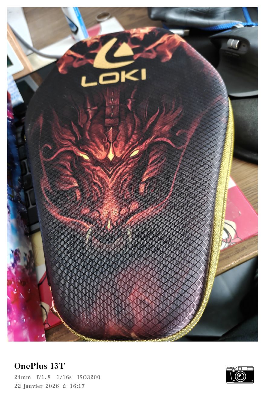 raquette de tennis de table de la marque Loki pour débutant (Neuf avec ...