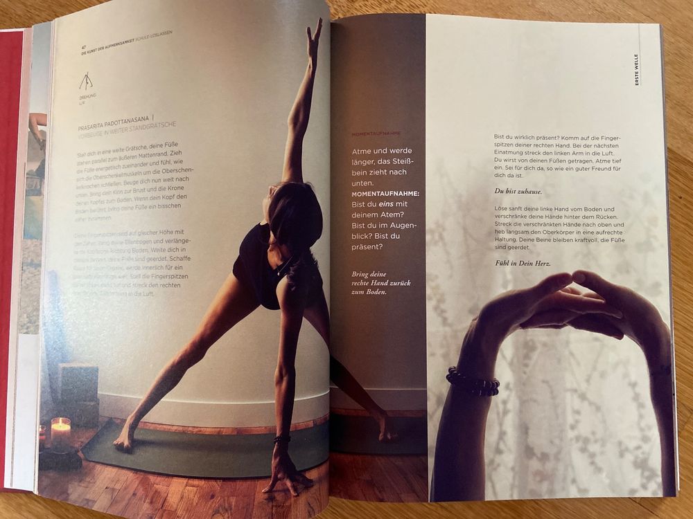 Die Kunst der Aufmerksamkeit - Elena Brower & Erica Jago (Gebraucht) in ...