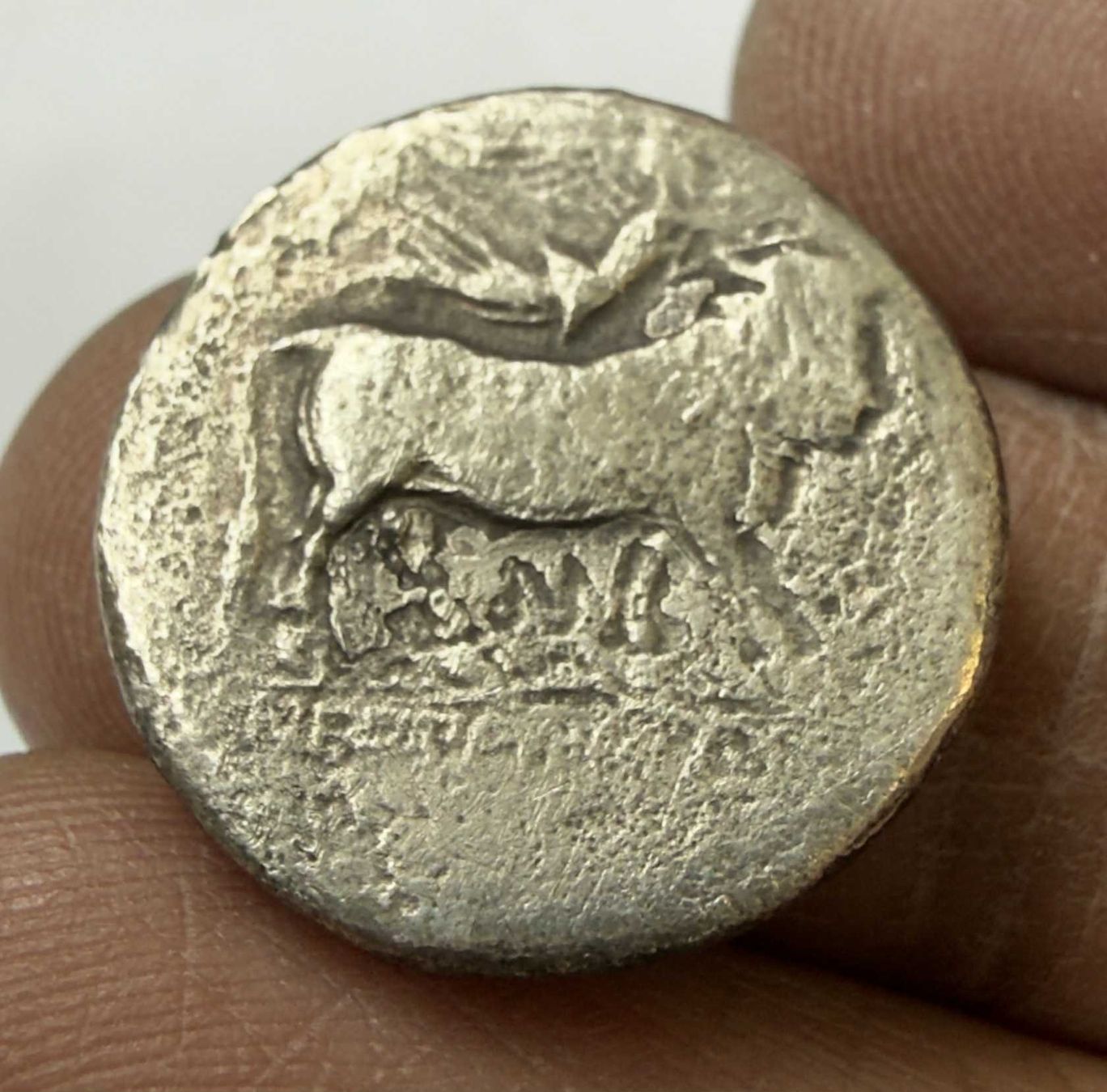 Neapolis, Campania, 325-241 BC. Silver Didrachm 6.6 Grms (Gebraucht) in ...