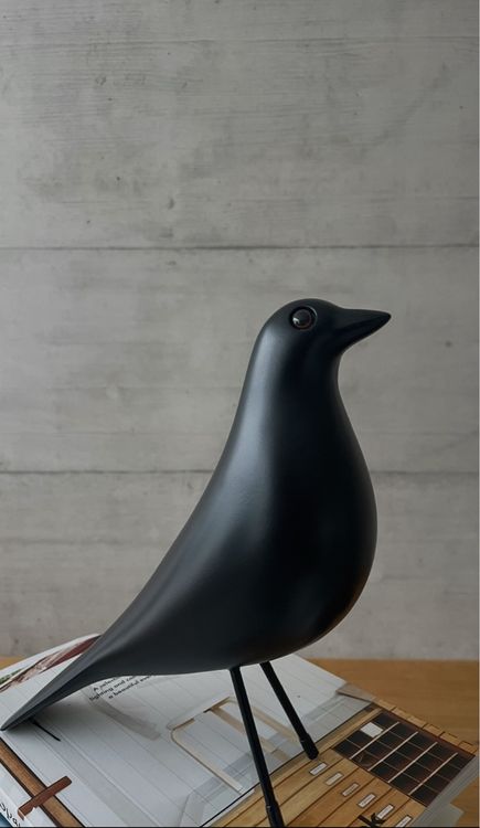 House Bird (Neu (gemäss Beschreibung)) in Wittnau für CHF 50 – mit ...